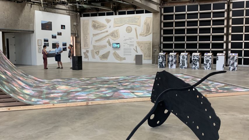 ALI SILVERSTEIN: THE FANTASTICAL RECONSTRUCTION OF THE EPINE GY7 ...
